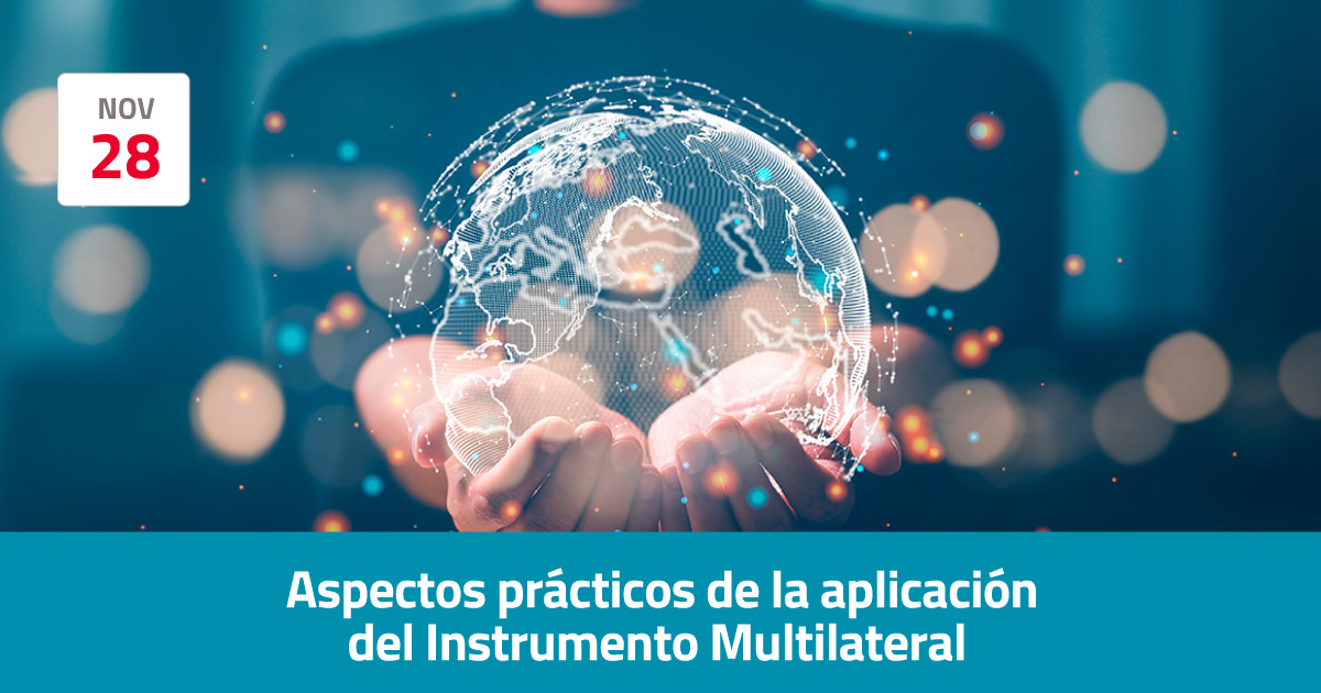 Aspectos prácticos de la aplicación del Instrumento Multilateral