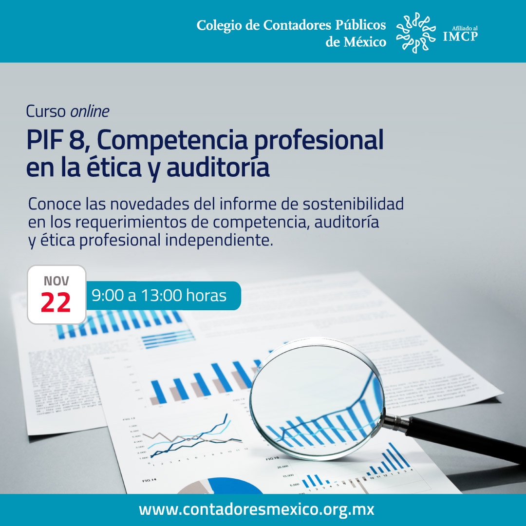 PIF 8, Competencia profesional en la auditoría