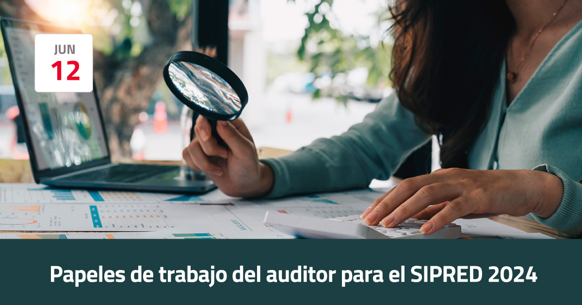 Papeles de trabajo del auditor para el SIPRED 2024