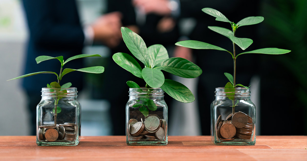 Impacto económico del factor ambiental y taxonomía sostenible